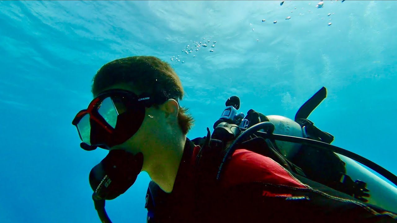 Sharks, Sea Turtles, and MORE! Florida Keys Scuba Diving (GoPro Hero 9 ...