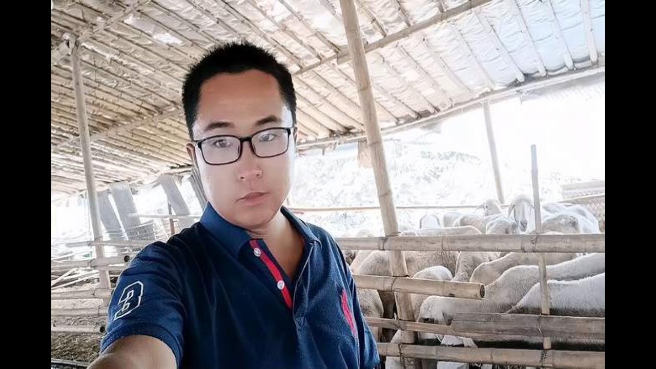 这种比较特殊的避暑方式应该是比较适合它们,就是看着有点别扭 Youtube