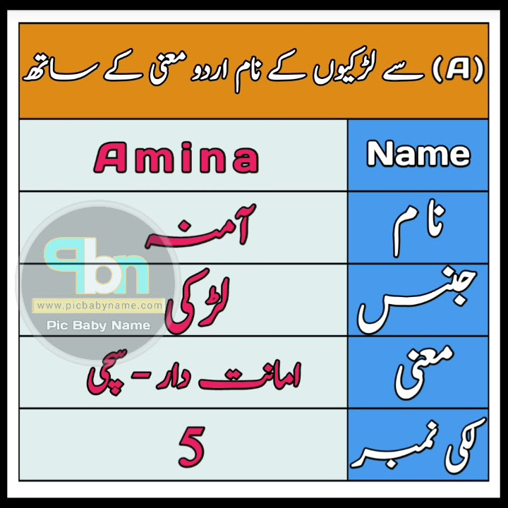 Amina Name Meaning in Urdu | Ameena naam ka matlab | آمنہ نام کے معنی By Pic Baby Name MyShorts ...