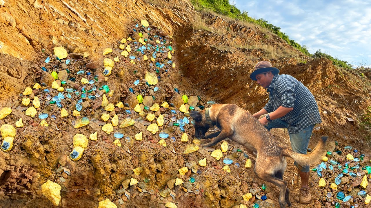Can't' believe! Man & K9 Dog found the treasure Gold in the cliff After ...