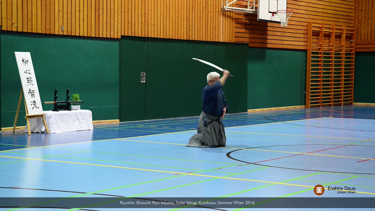 Ryushin Shouchi Ryu Iaijutsu, YAHAGI Soke, 2016 Seminar Wien ...
