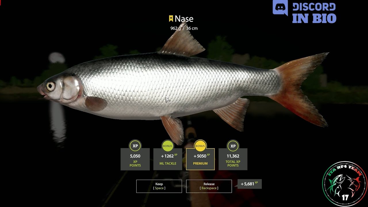 Volkhov River spot, Trophy Nase - #85 - Russian Fishing 4 / RF4 - YouTube
