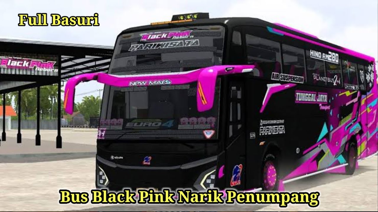 Bus Black Pink Narik Penumpang Full Basuri - YouTube