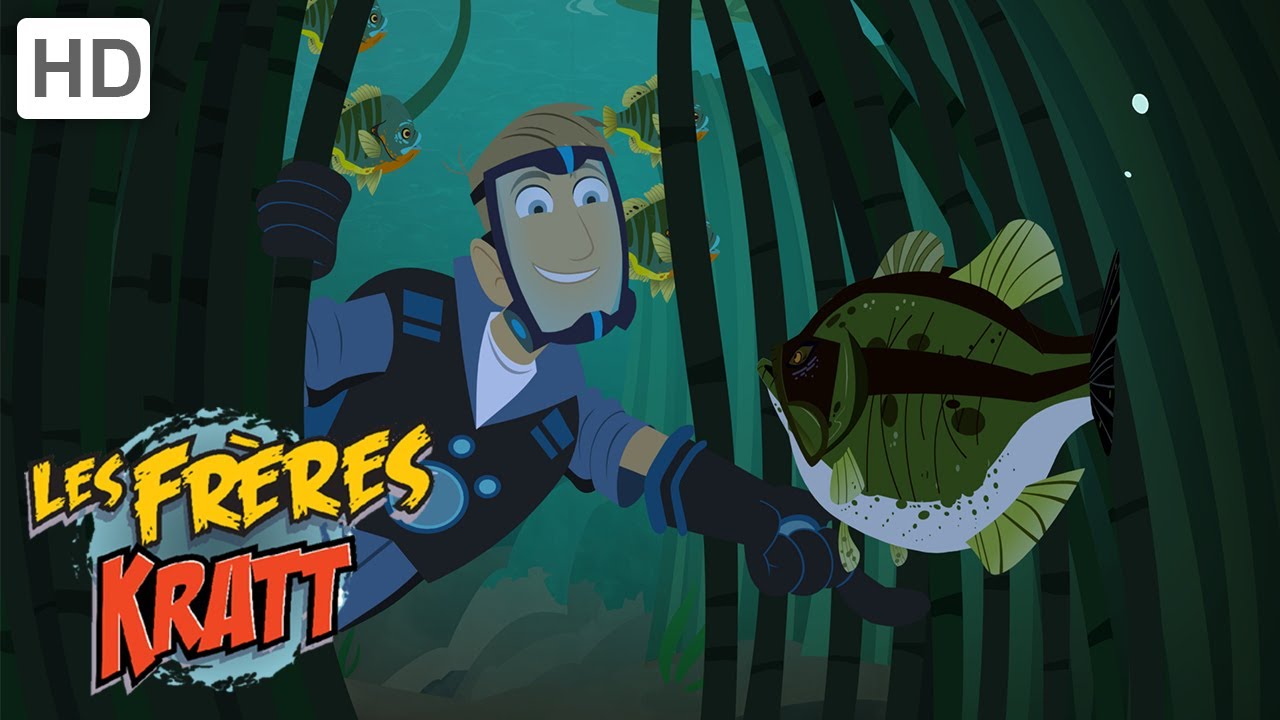Les Frères Kratt |Classe De Basse| Saison 1 - YouTube