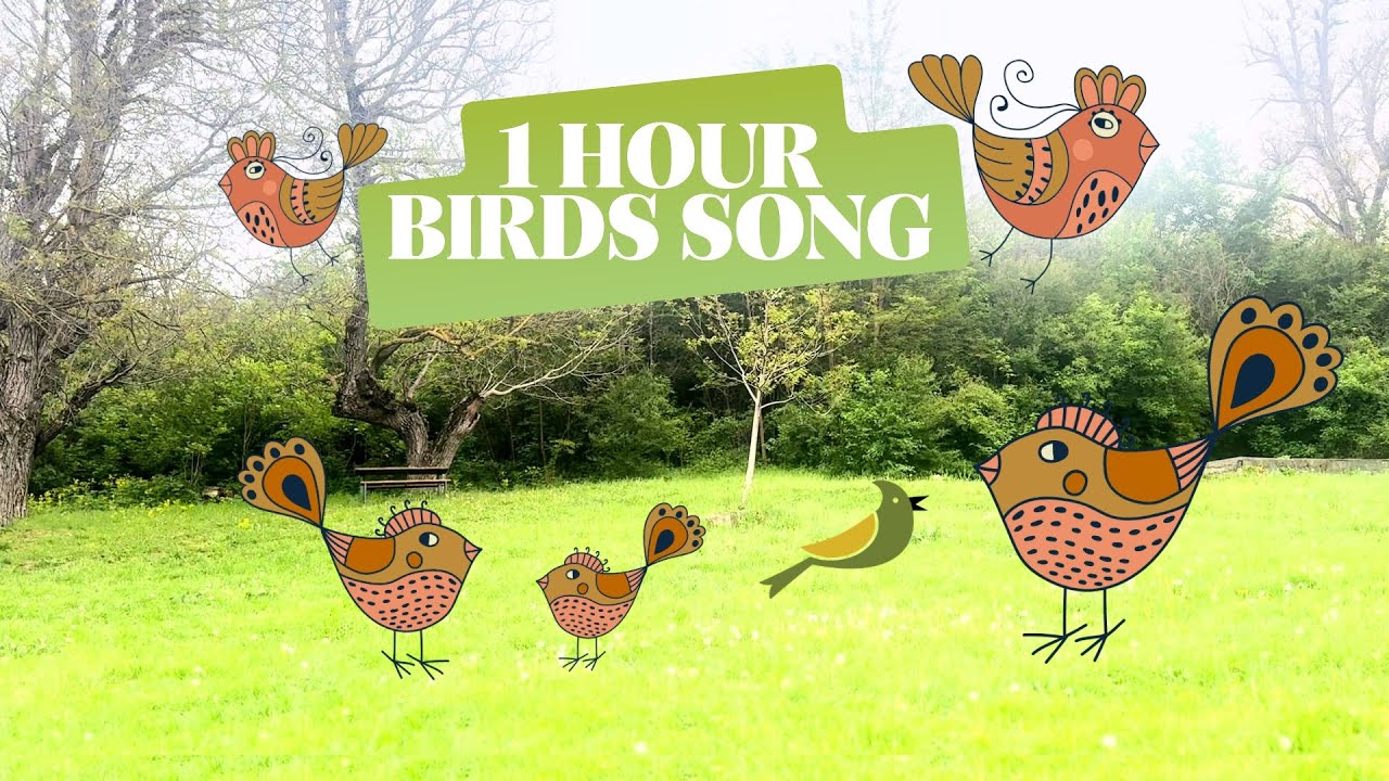 🌿Nature🌿 Sounds🎵🎶🎵 BEAUTIFUL Spring Birds songs 1 hour loop 🎵🎶🎵 # ...