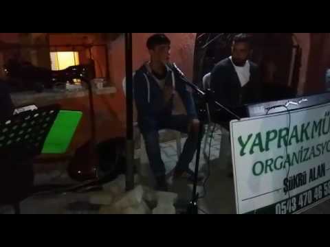 Doğuş göçmen - BAŞIMDA KARLI DAĞLAR