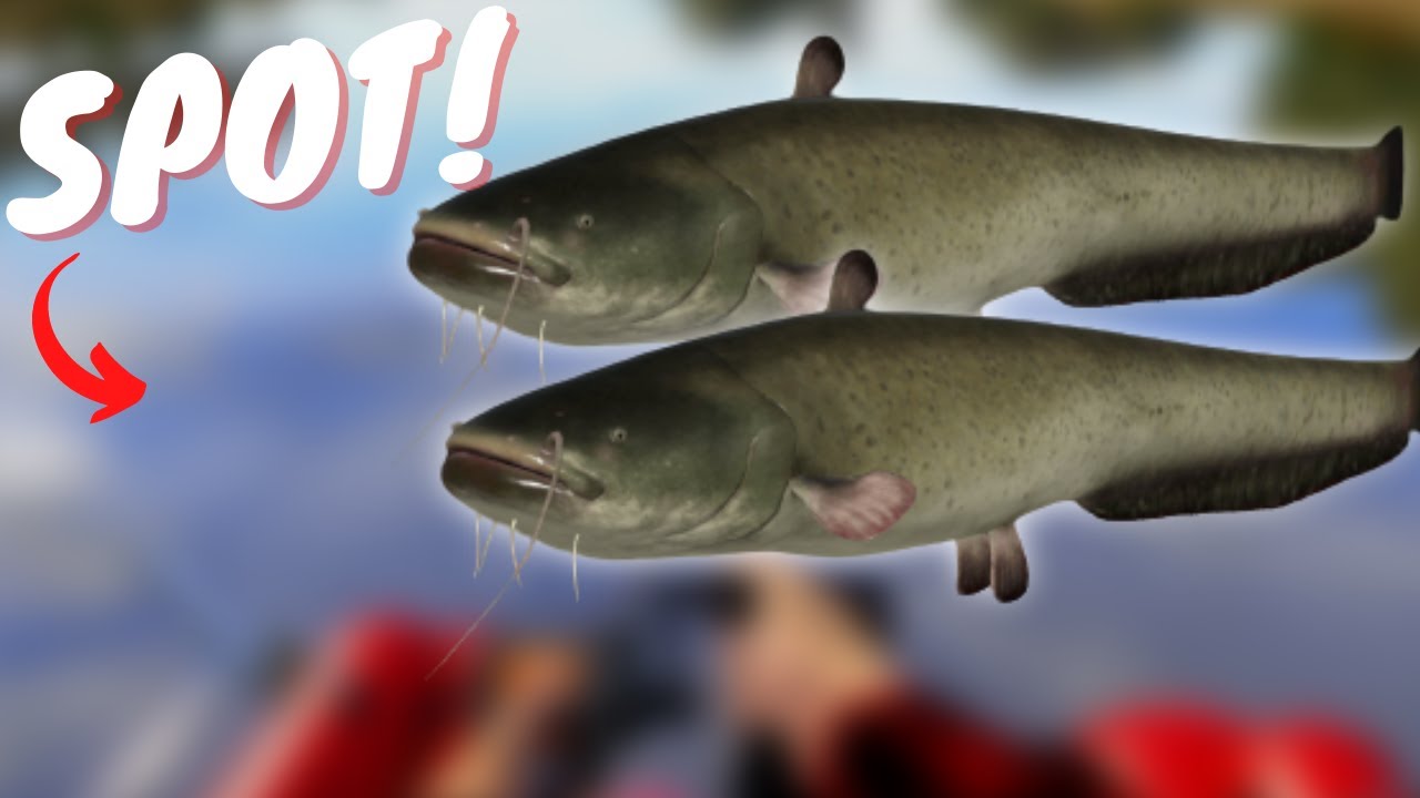 ACTIVE CATFISH SPOT IN AKHTUBA RIVER! #414 Russian fishing 4 - YouTube