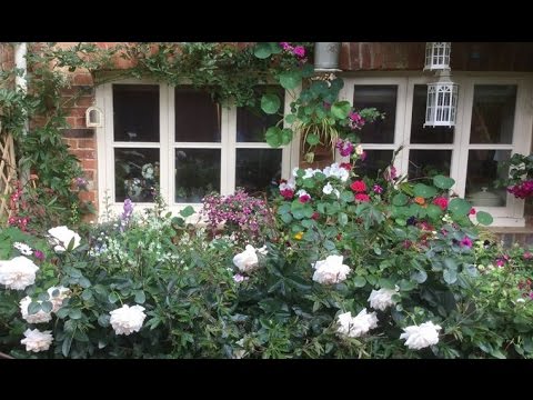 Guildford in Bloom Awards 2016 - YouTube