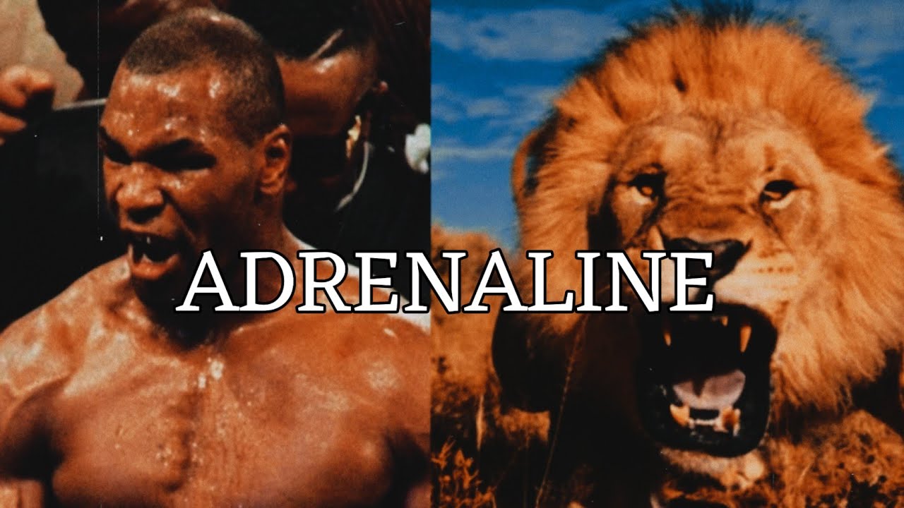 ADRENALINE | RAGE MOTIVATION - YouTube