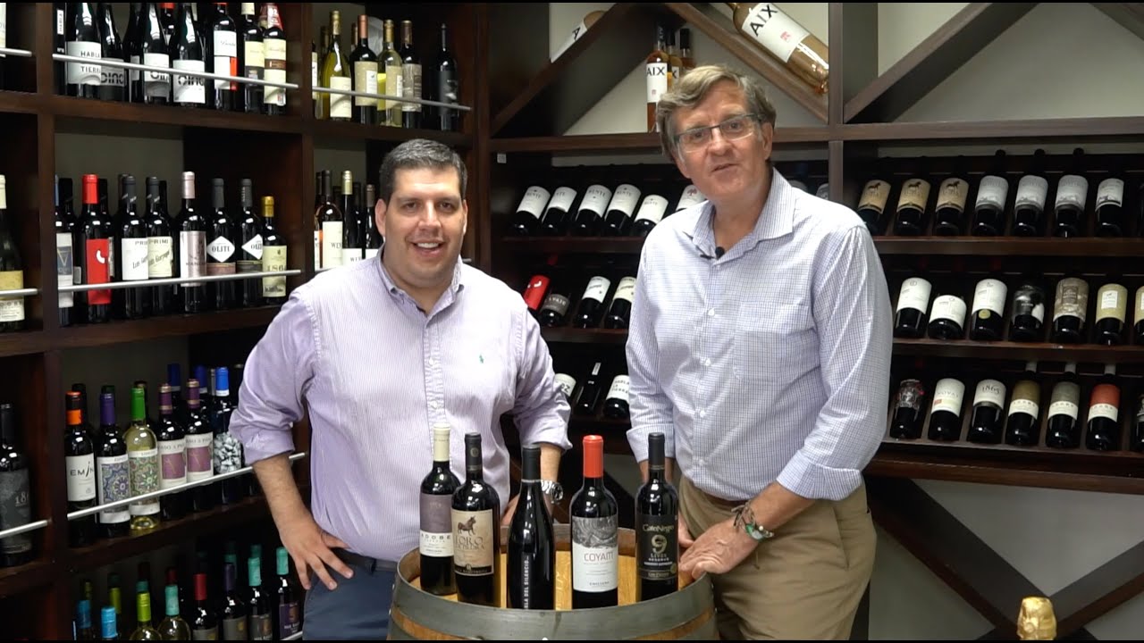 Habla Bebidas nos recomienda 5 vinos pueden convertirse en su favorito ...