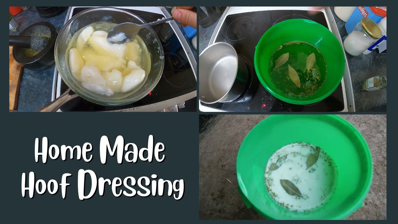 How To Make Home Made Hoof Dressing / Equestrian How To - YouTube