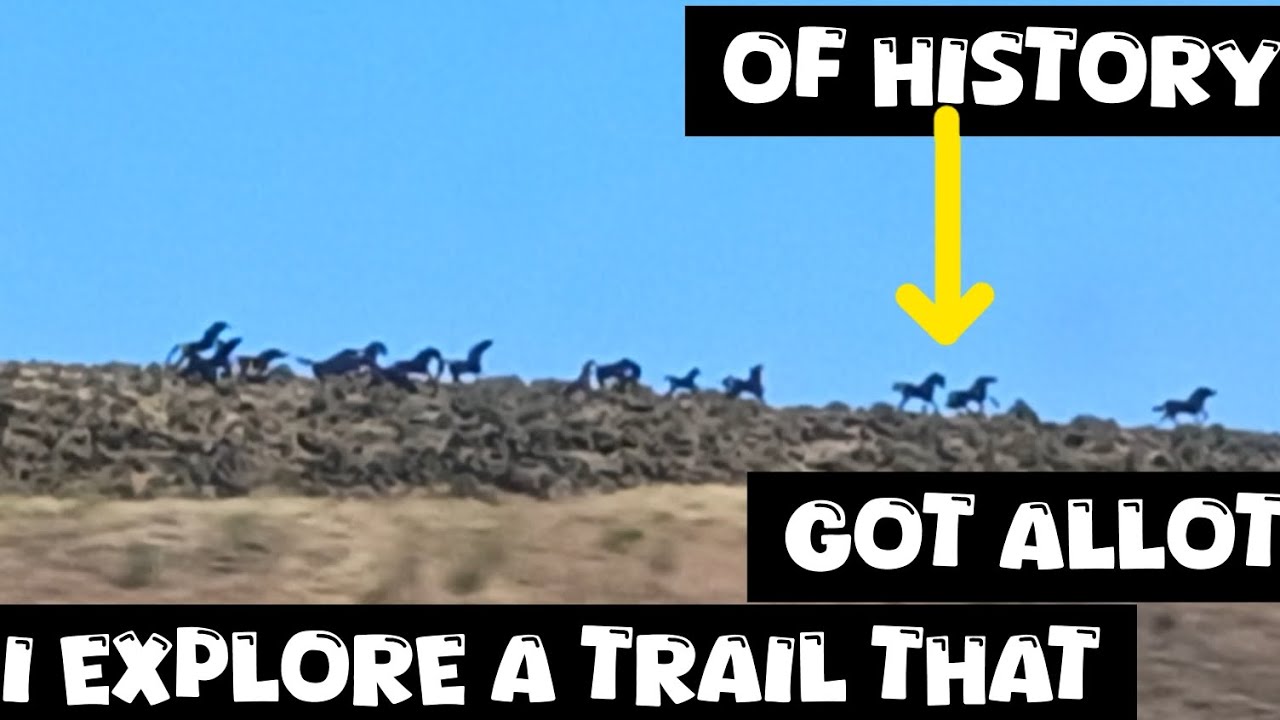 THIS PLACE HAS ALLOT OF HISTORY TO IT SO I WENT THERE - YouTube