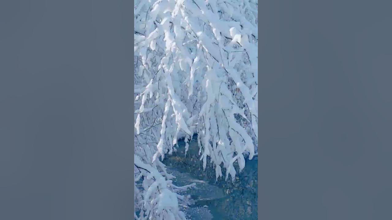 Milwaukee snow storm - YouTube