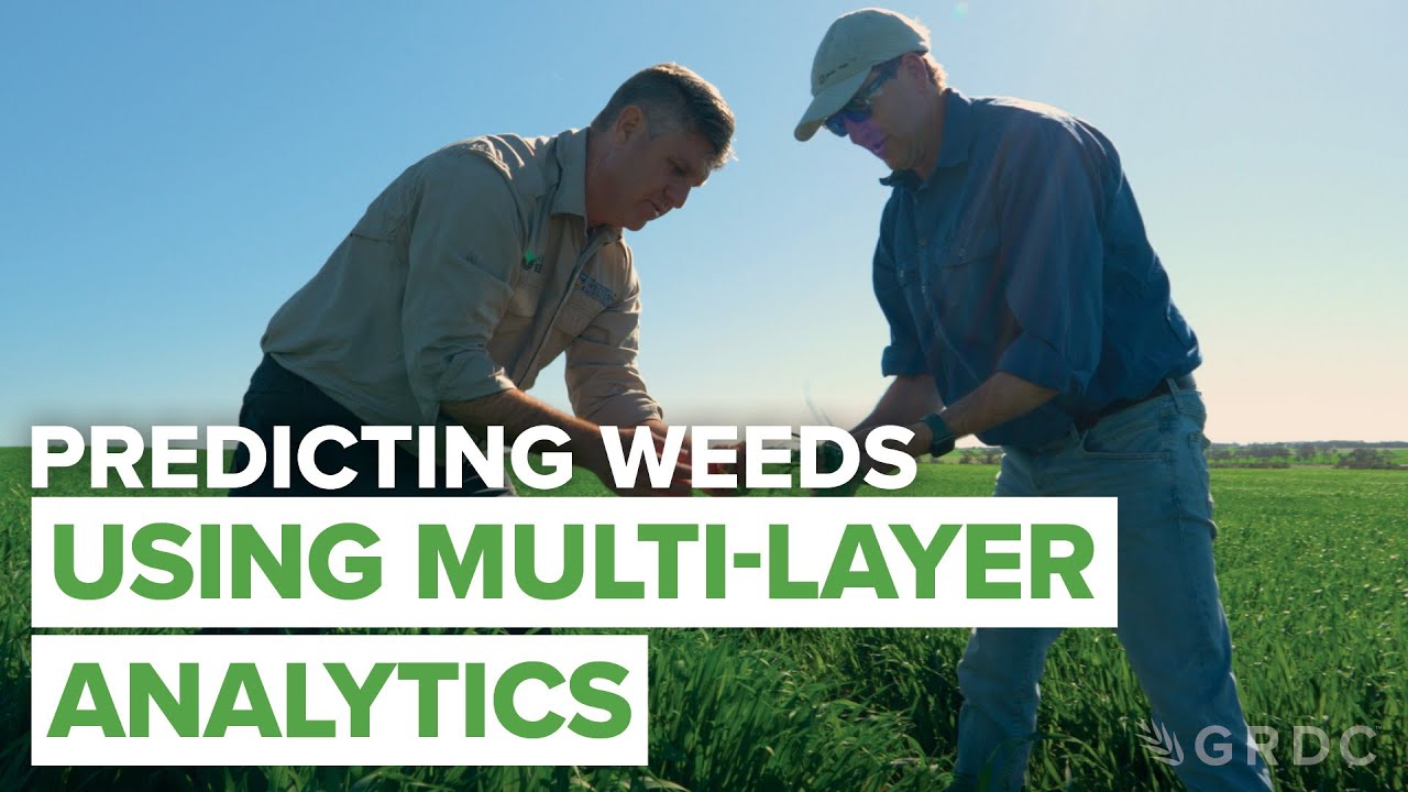 Pushing the boundaries of weed control: Next-gen analytics for weed ...