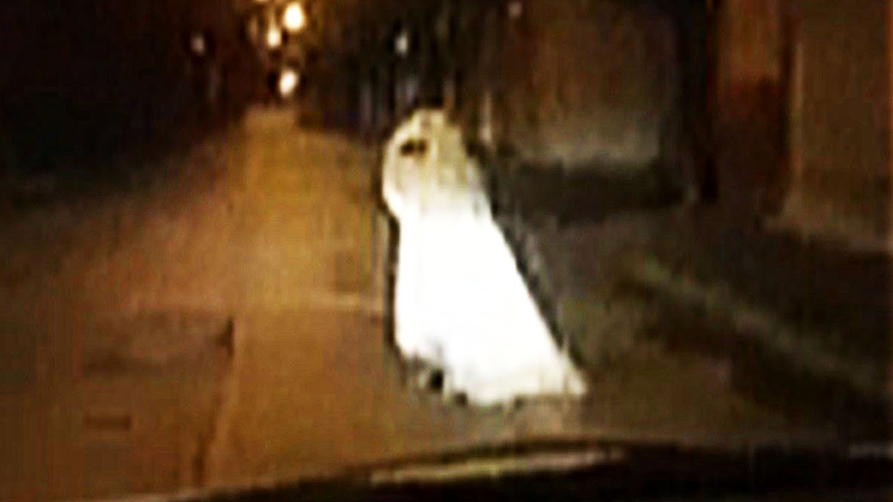 These Videos Are Surprisingly Scary Tonight - YouTube
