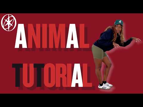Animal by Katseye (EASY DANCE TUTORIAL) *beginner friendly