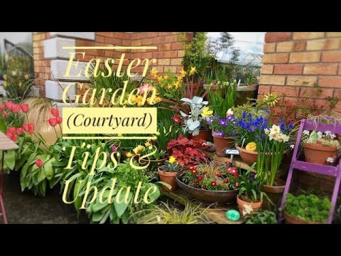 Easter garden (courtyard) Tips and Update - YouTube