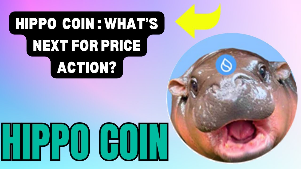 HIPPO COIN PRICE SURGE ALERT: CHART SIGNALS YOU MUST KNOW ! HIPPO COIN ...