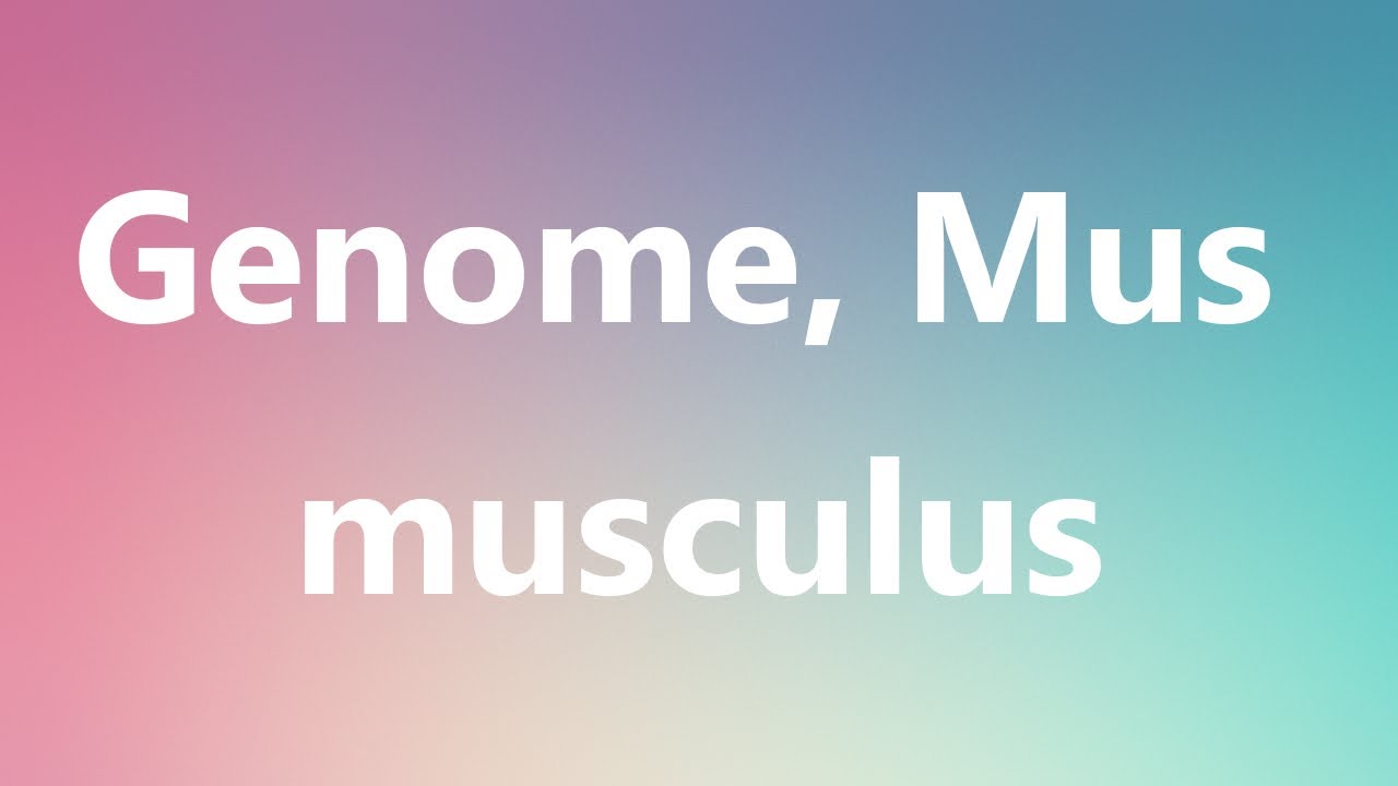 Genome, Mus musculus - Medical Definition and Pronunciation - YouTube