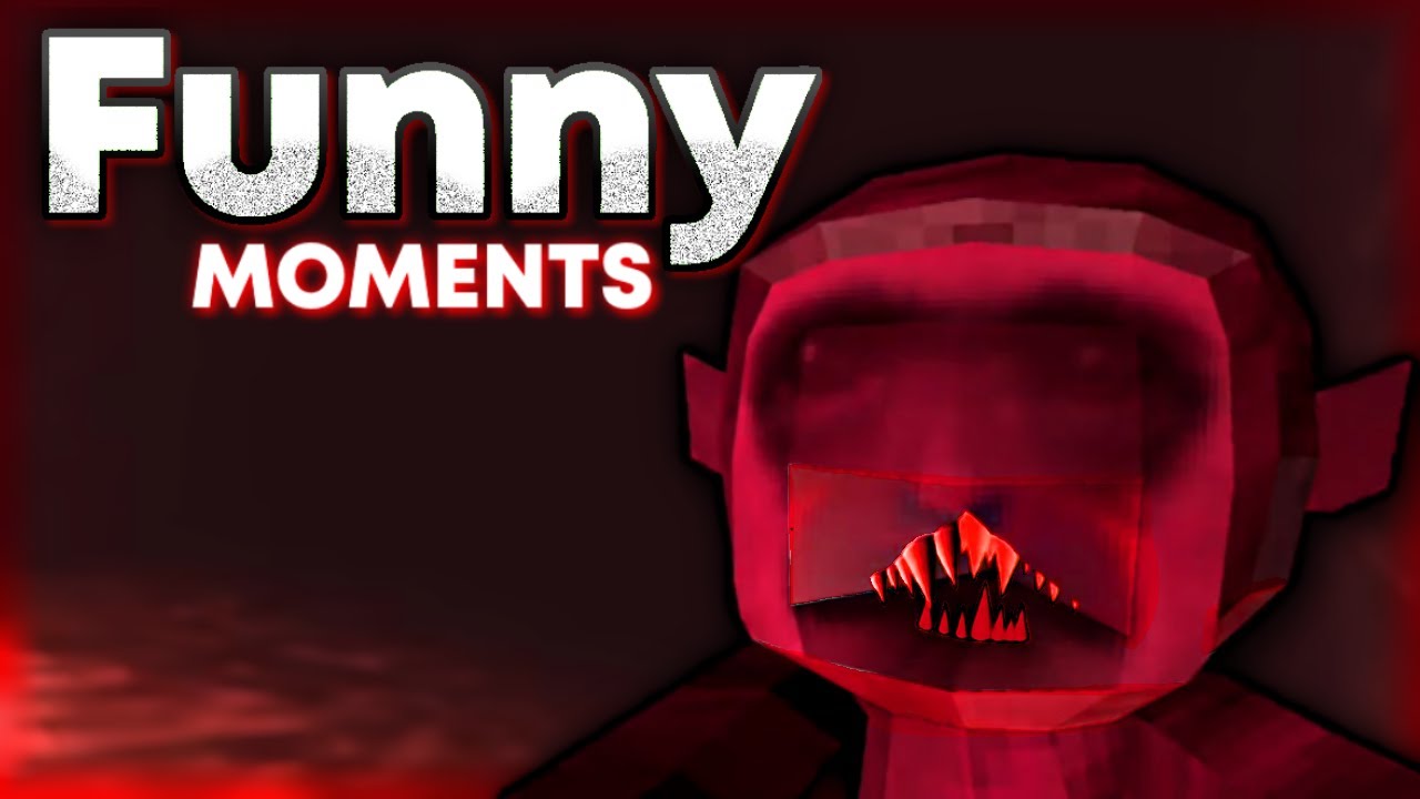 The Best Monkey Mischief Funny Moments - YouTube