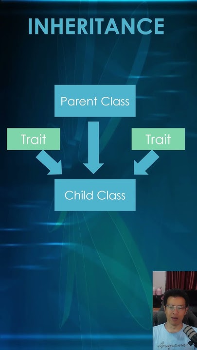 Trait Skysen Coding Code Programming Php Youtube