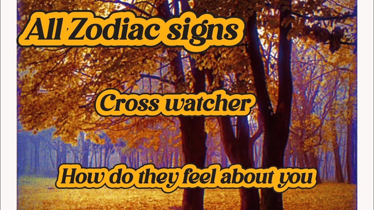 All Zodiac Signs Tarot fro the cross whatcher how do the feel about you ...