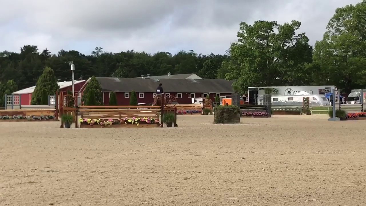 Molly Wilson riding Rio's Diva at Ox Ridge Hunt Club 2017 - YouTube