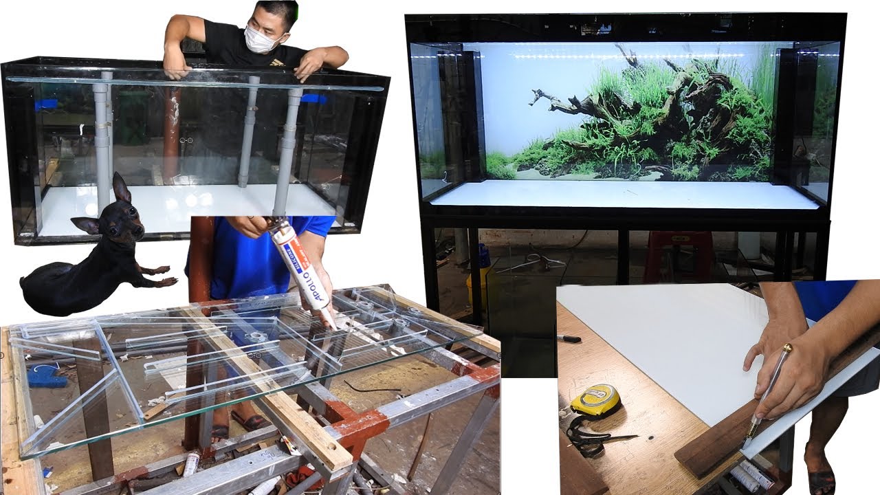 Aquarium model 24 - Sample aquarium with tubing on the side of the tank ...