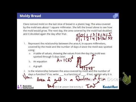 Unit 5 Lesson 8 Exponential Situations as Functions Algebruh - YouTube