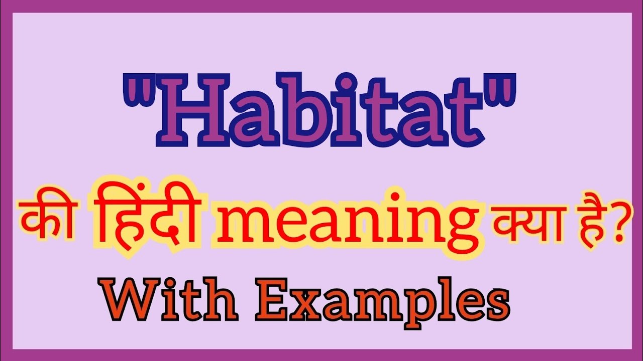 Habitat Meaning In Hindi Habitat Meaning Habitat Ka Matlab YouTube