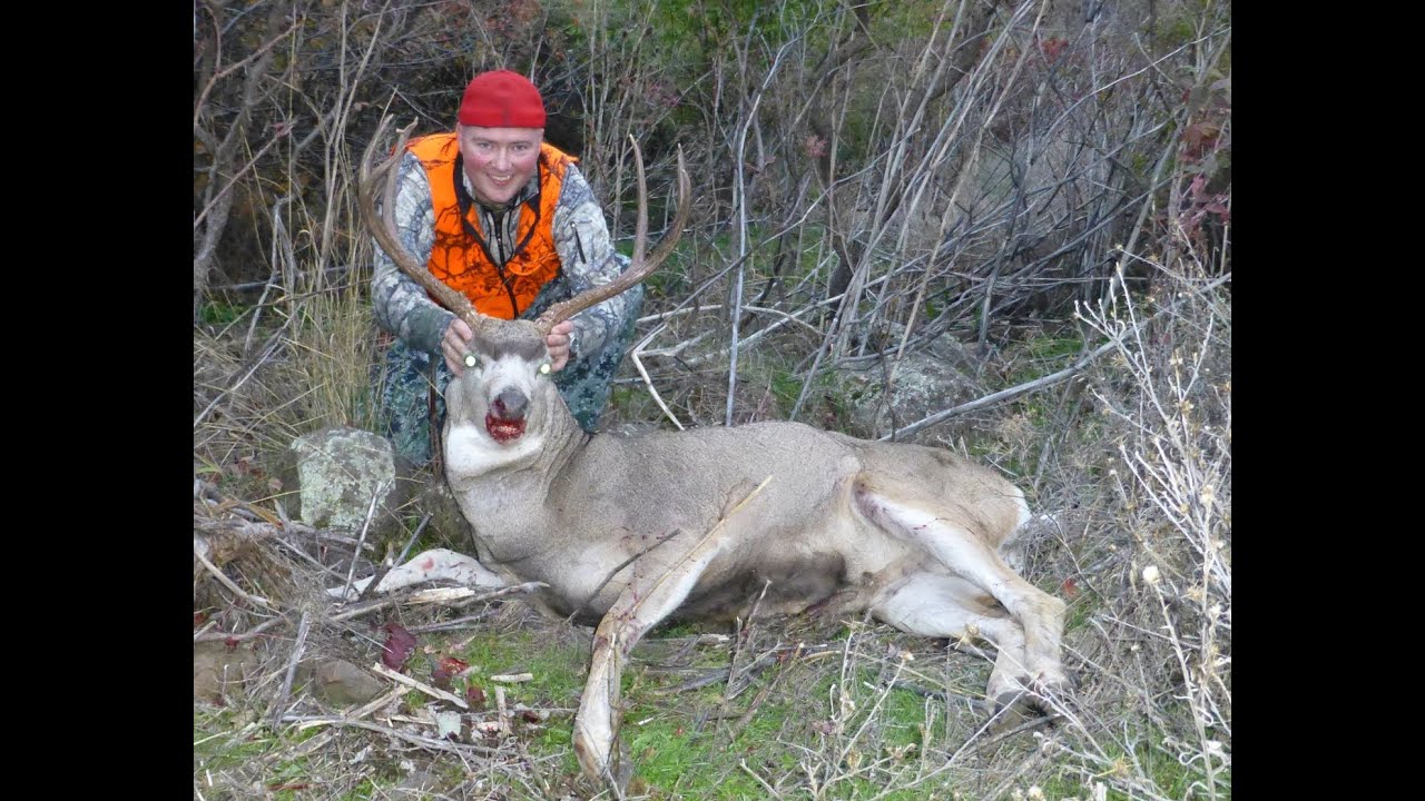 Long Range Mule Deer Buck Hunt - 670 Yards - 270 WSM - YouTube