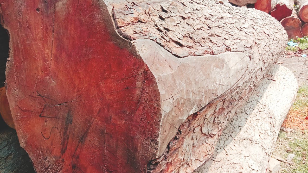 Extreme Dangerous wood cutting project by sawmill with Extreme ...
