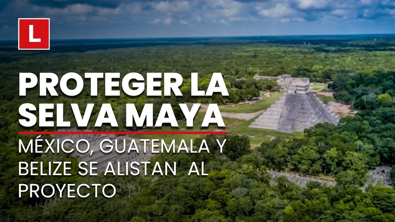 México, Guatemala y Belice, alistan proyecto para conservar la selva ...