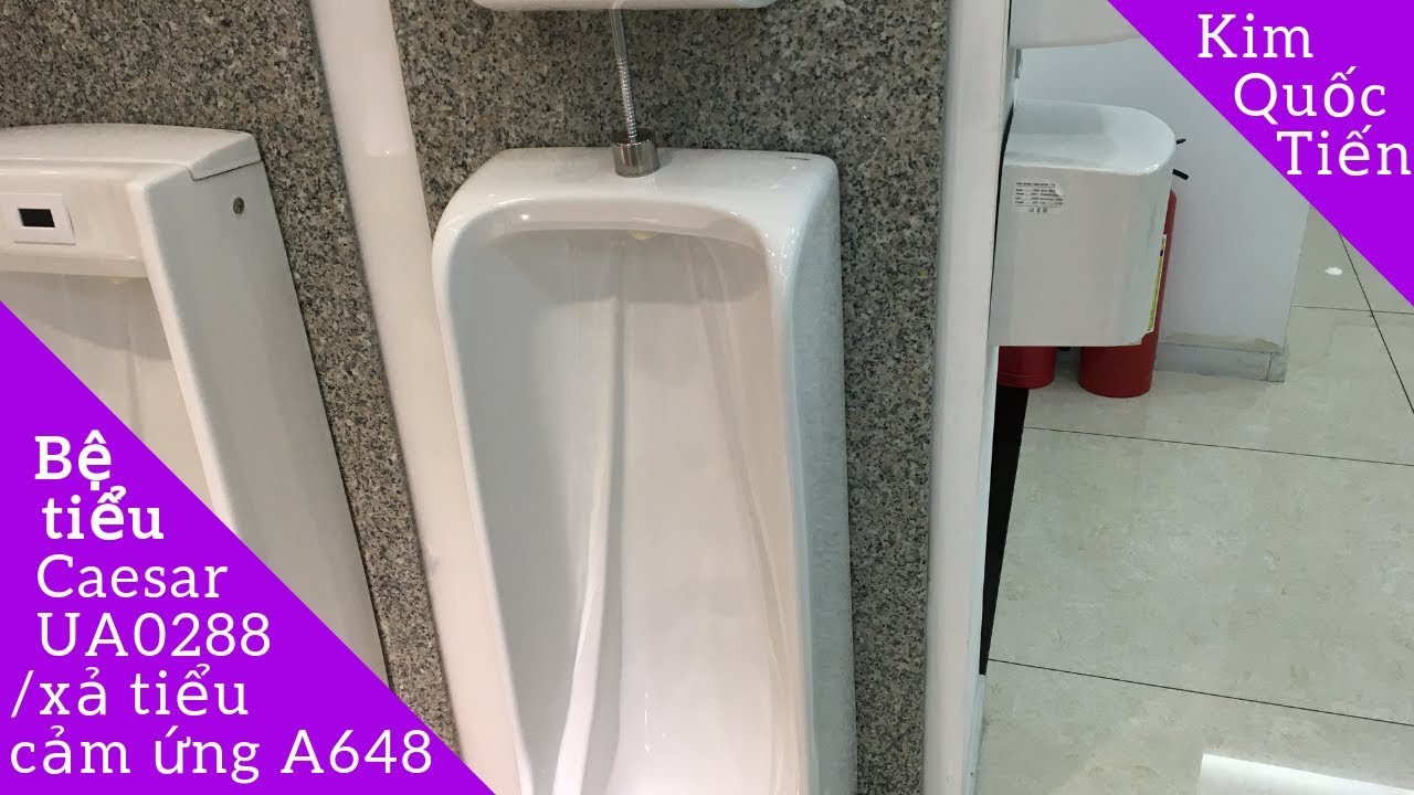 Bệ tiểu Caesar UA0288 /xả tiểu cảm ứng Caesar A648 - YouTube