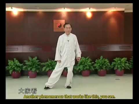 Yang Style Tai Chi 85 Forms. Master Zhao Youbin. Part 8 - YouTube