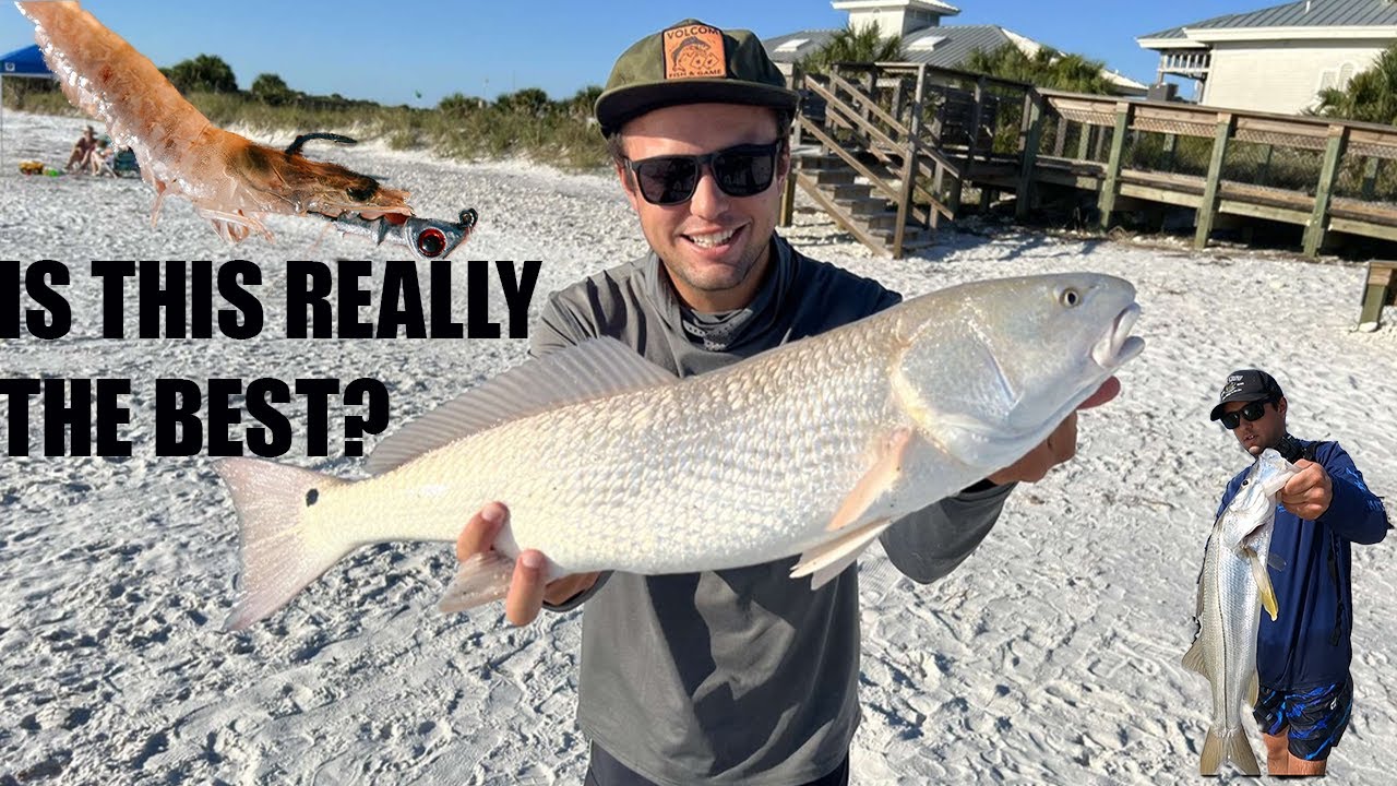 How To CATCH Redfish And Snook The BEST WAY For Beginners To Surf Fish ...