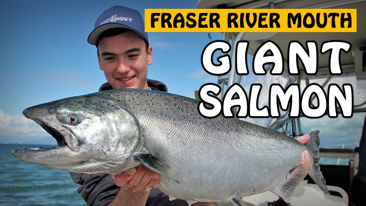 Fraser River Salmon Fishing