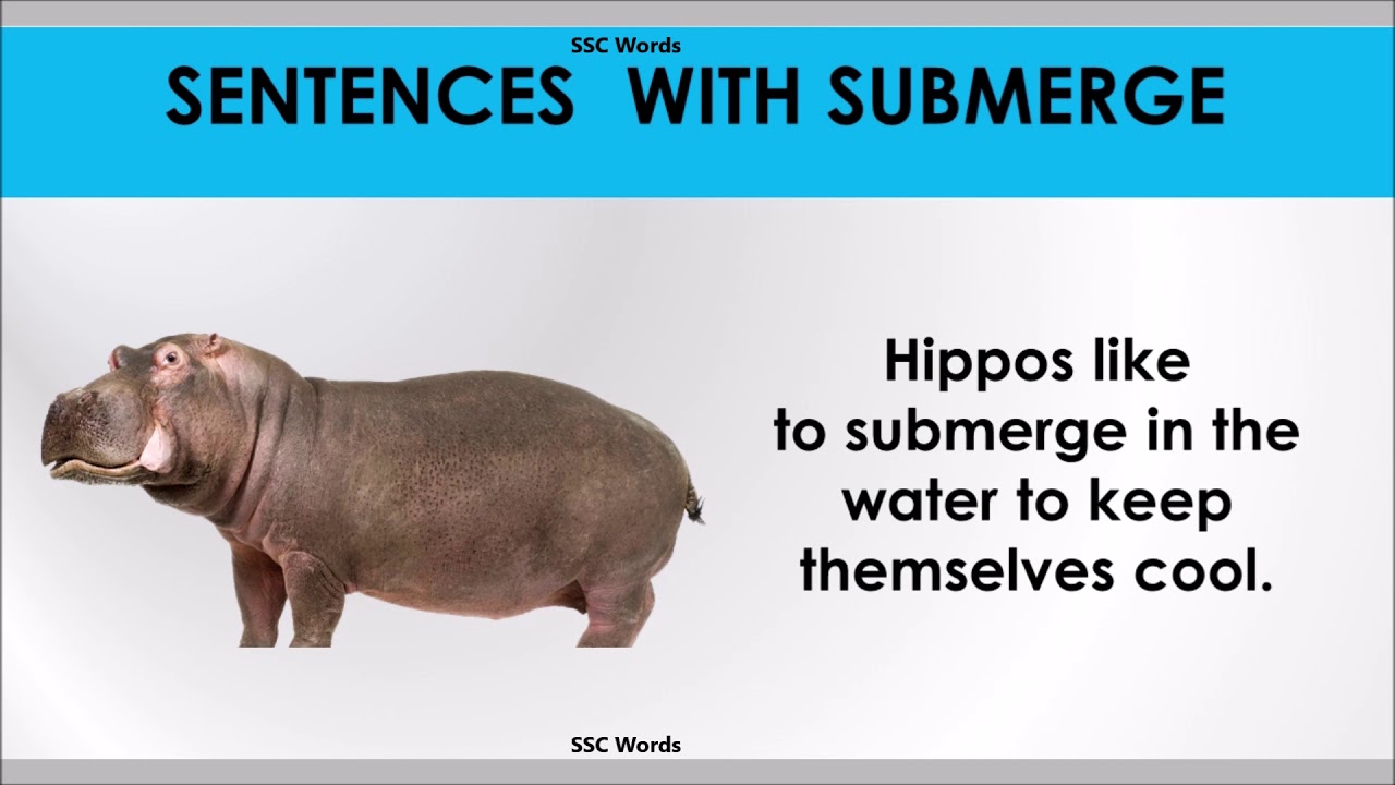 Submerge word - Improve English - Meaning and 5 sentences - GRE / CAT ...
