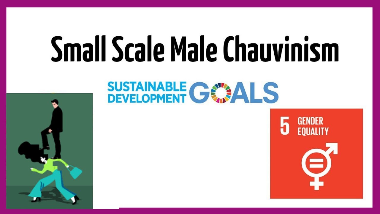 What does it mean when a man is chauvinistic? || What Is Small Scale ...