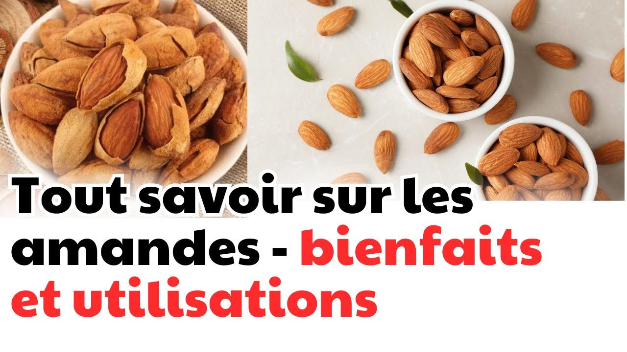 Tout savoir sur les amandes - bienfaits et utilisations | CDT NEWS ...