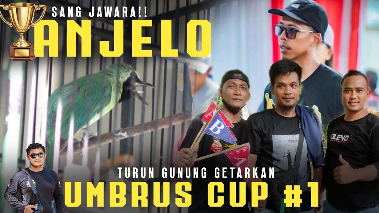 ANJELO IS BACK!!! langsung turun gunung langsung juara 1- 2 di acara ...