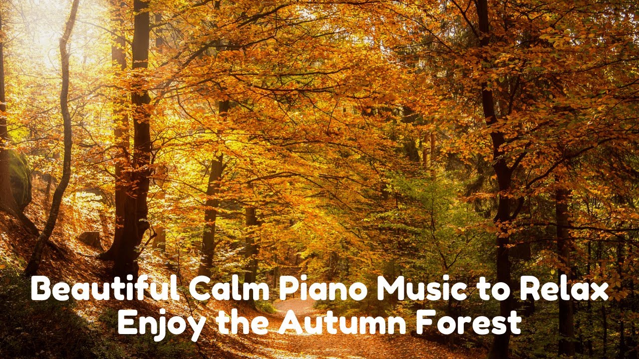 Beautiful Calm Piano Music to Relax - Enjoy the Autumn Forest - YouTube