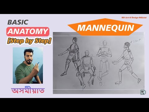 Drawing Mannequin ll Basic Anatomy For Beginners ll #art #humanfigure # ...
