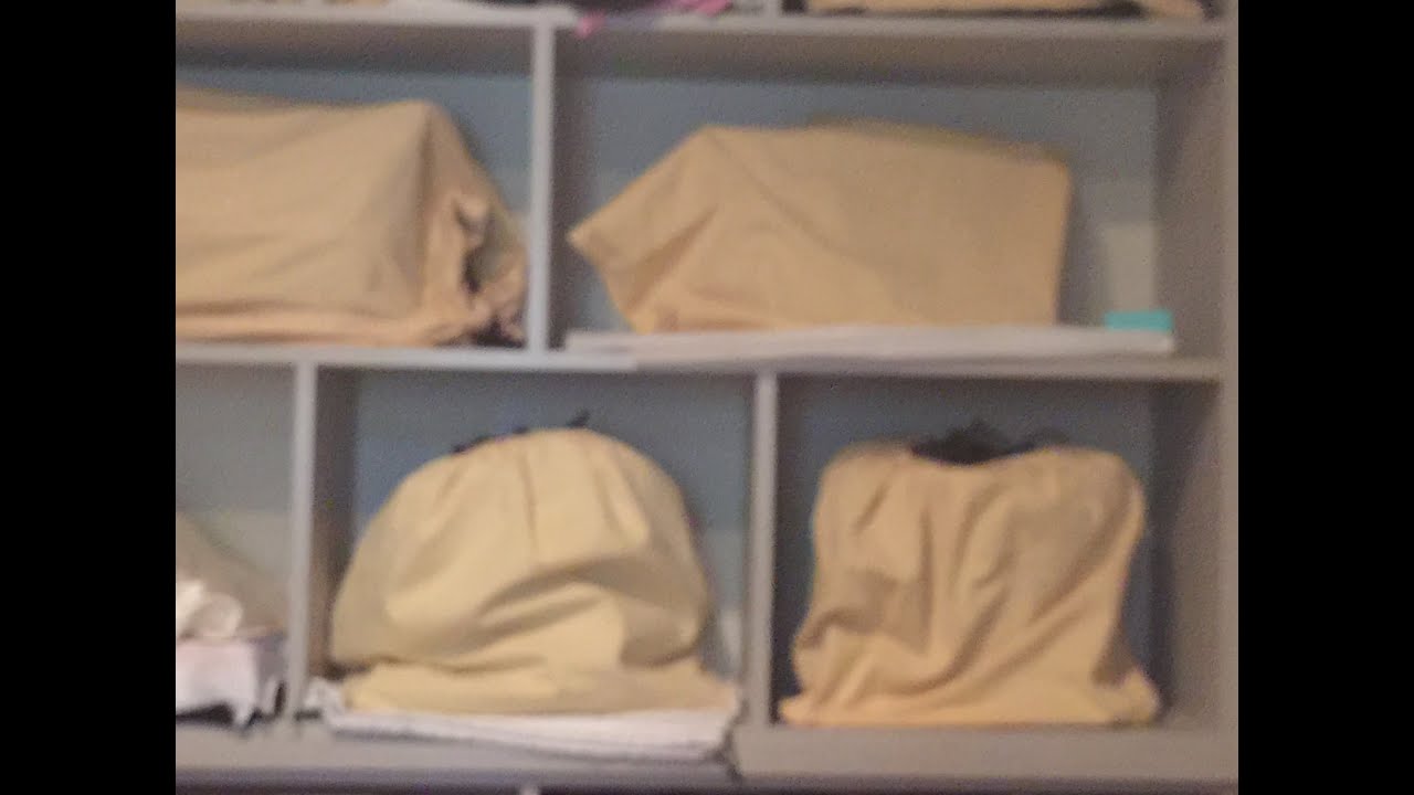 My Louis Vuitton Bag Collection Youtube