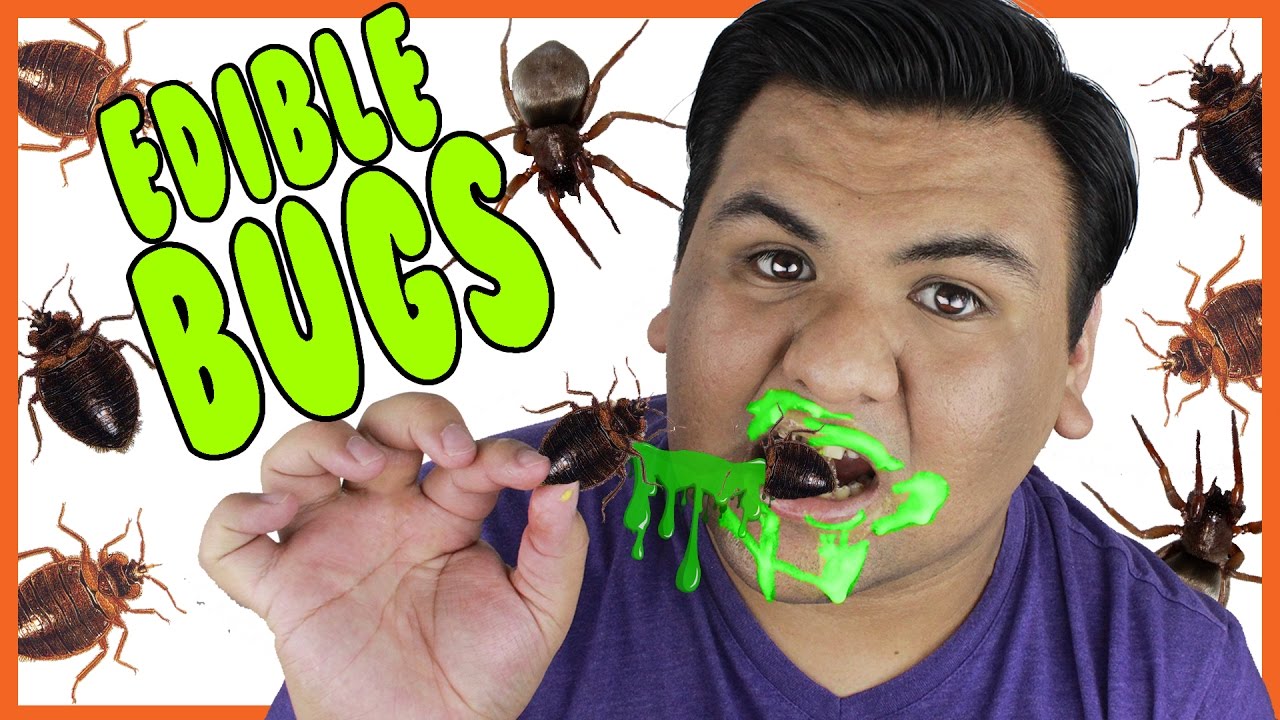 DIY | Edible Bugs - WATCH ME EAT BUGS!!! - HALLOWEEN DIY!!! - YouTube