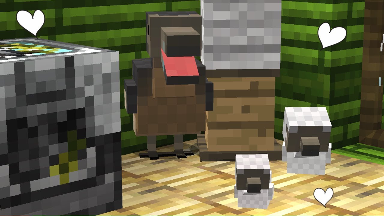 Dodo Family! | Animal Land Minecraft - YouTube