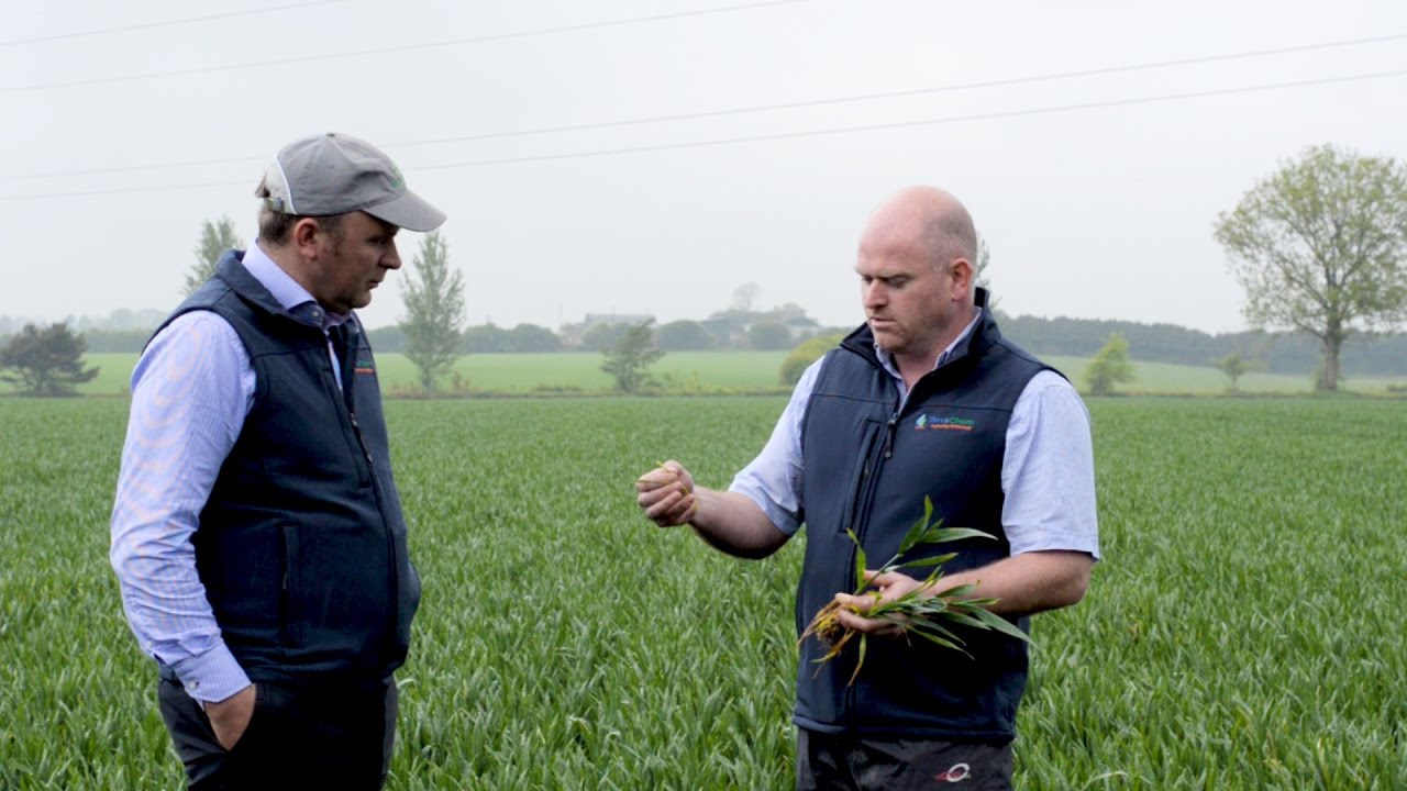 CROPS WATCH: Spraying operations in focus at Nolan Farming - YouTube