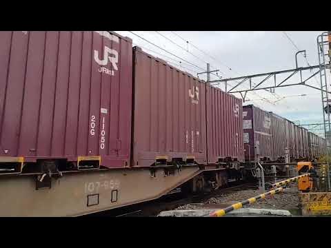 77レ EF210-103+コキ20B - YouTube