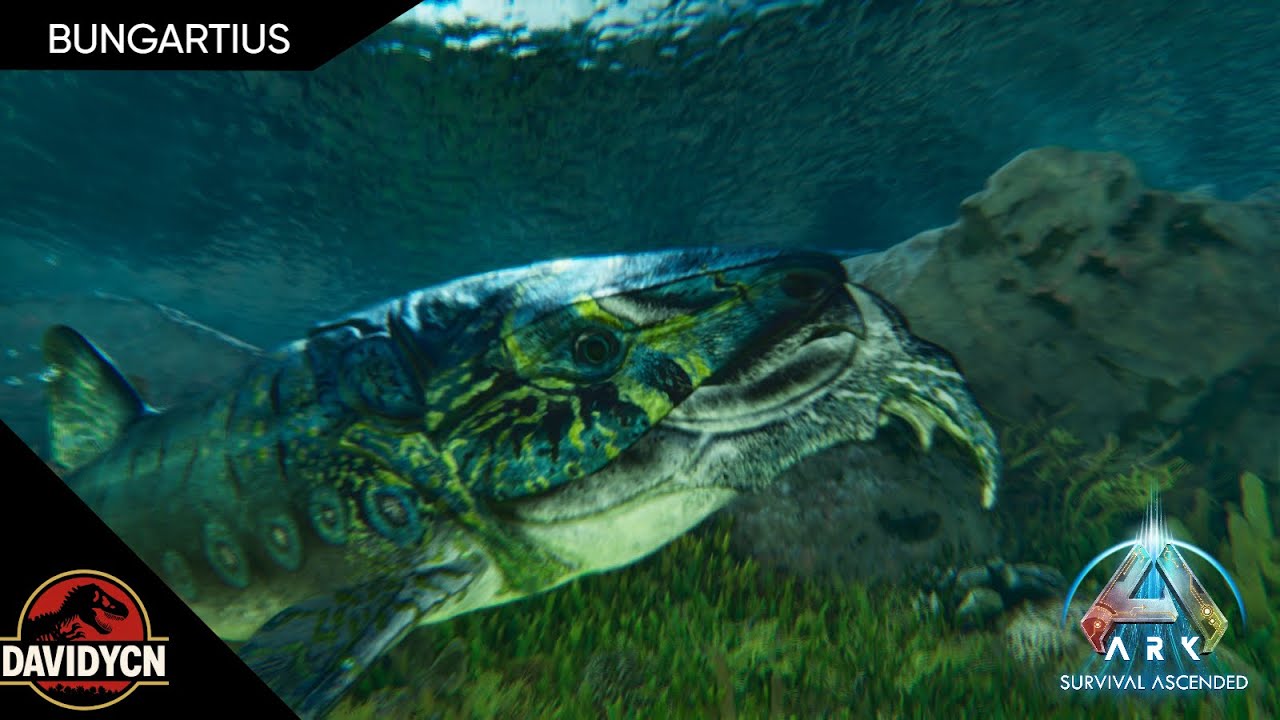 COMO DOMESTICAR A TU BUNGARTIUS en Ark Ascended|Paleo ARK EVO+ |Native ...