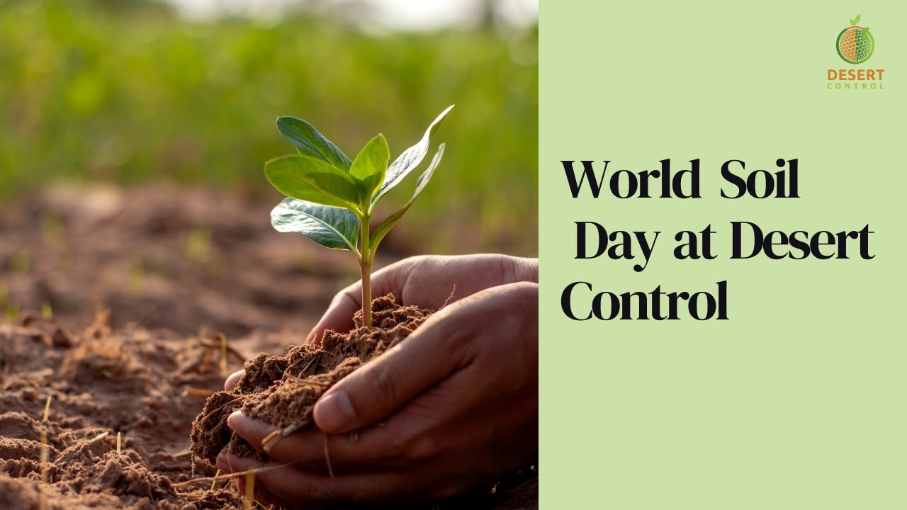 World Soil Day at Desert Control - YouTube